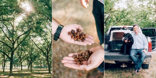 Garden & Gun Magazine - Southern Tradition Kennels