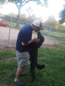 caleb dog pics 395 - Southern Tradition Kennels